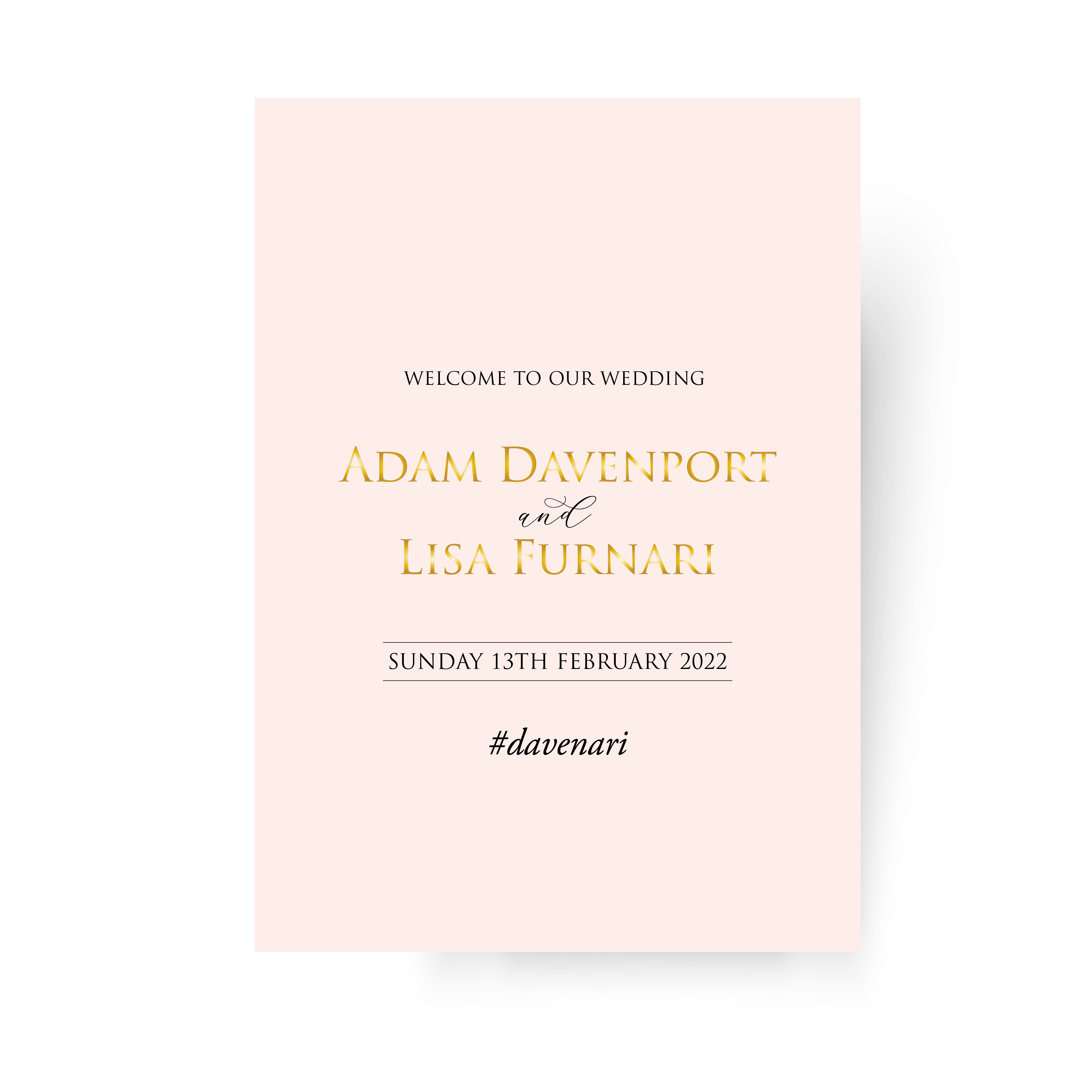 Lisa | Blush Wedding Welcome Sign – Paper Chic